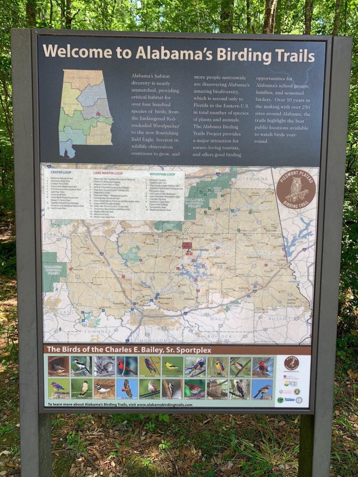 6 Fun Things To Do During Fall at Lake Martin